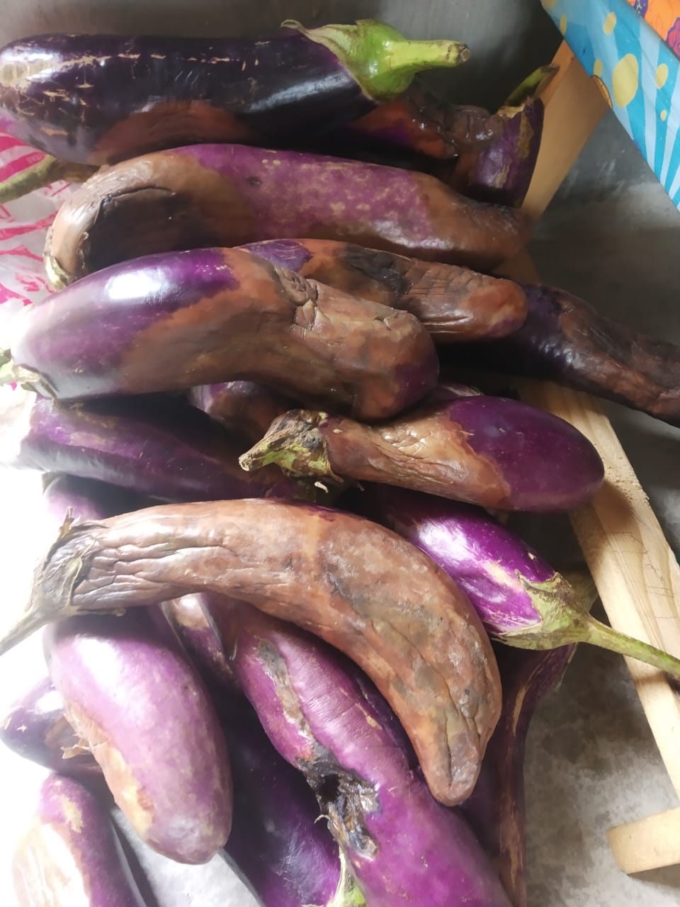 Terkait Sembako KPM di Batu Bara, GEMPAR Temukan Terong Lisut dan Tempe ...